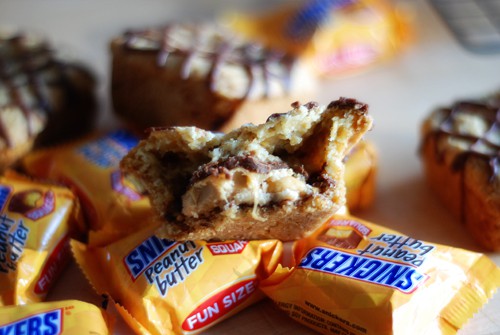 Snickeroos - Bluebonnet Baker